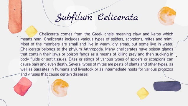 Subphylum Chelicerata.pdf