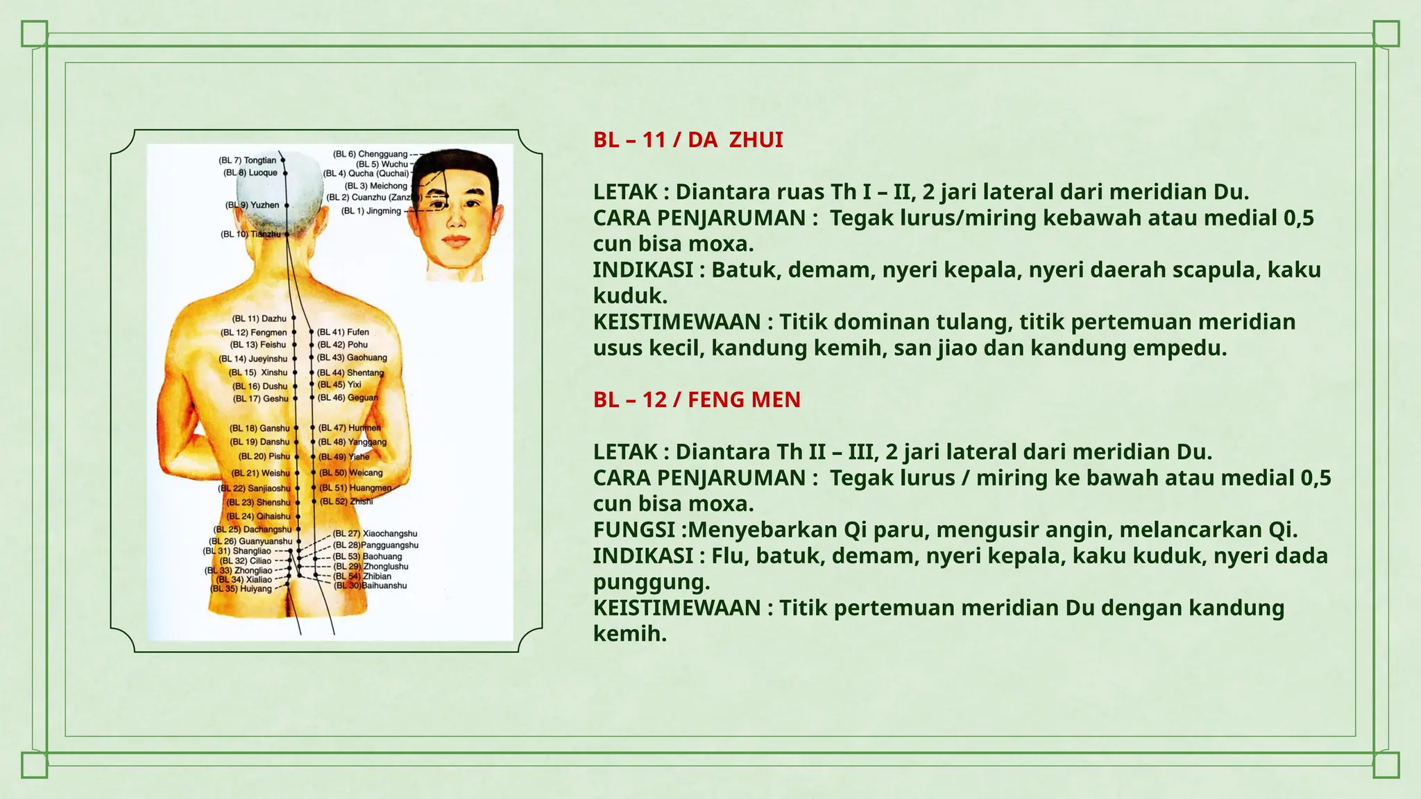 kel 12 keahlian 2 (1) titik meridian akupuntur.pptx