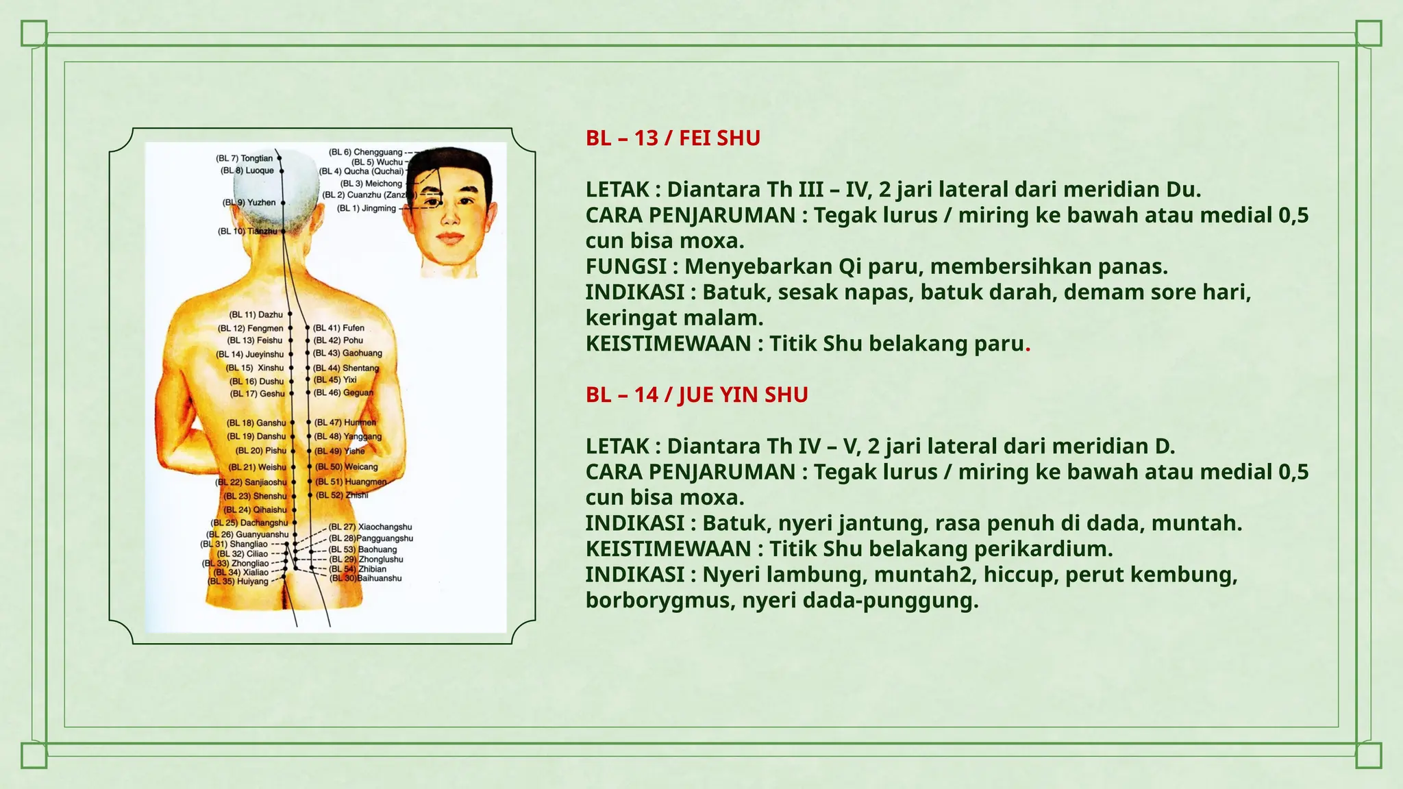 kel 12 keahlian 2 (1) titik meridian akupuntur.pptx