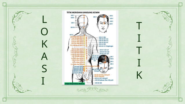 kel 12 keahlian 2 (1) titik meridian akupuntur.pptx