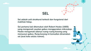 KEL_1_A_BIOLOGI UMUM.pptx