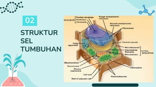 KEL_1_A_BIOLOGI UMUM.pptx