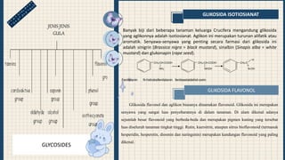 KEL 1 BIOSINTESIS GLIKOSIDA hgfddbjkj.pptx
