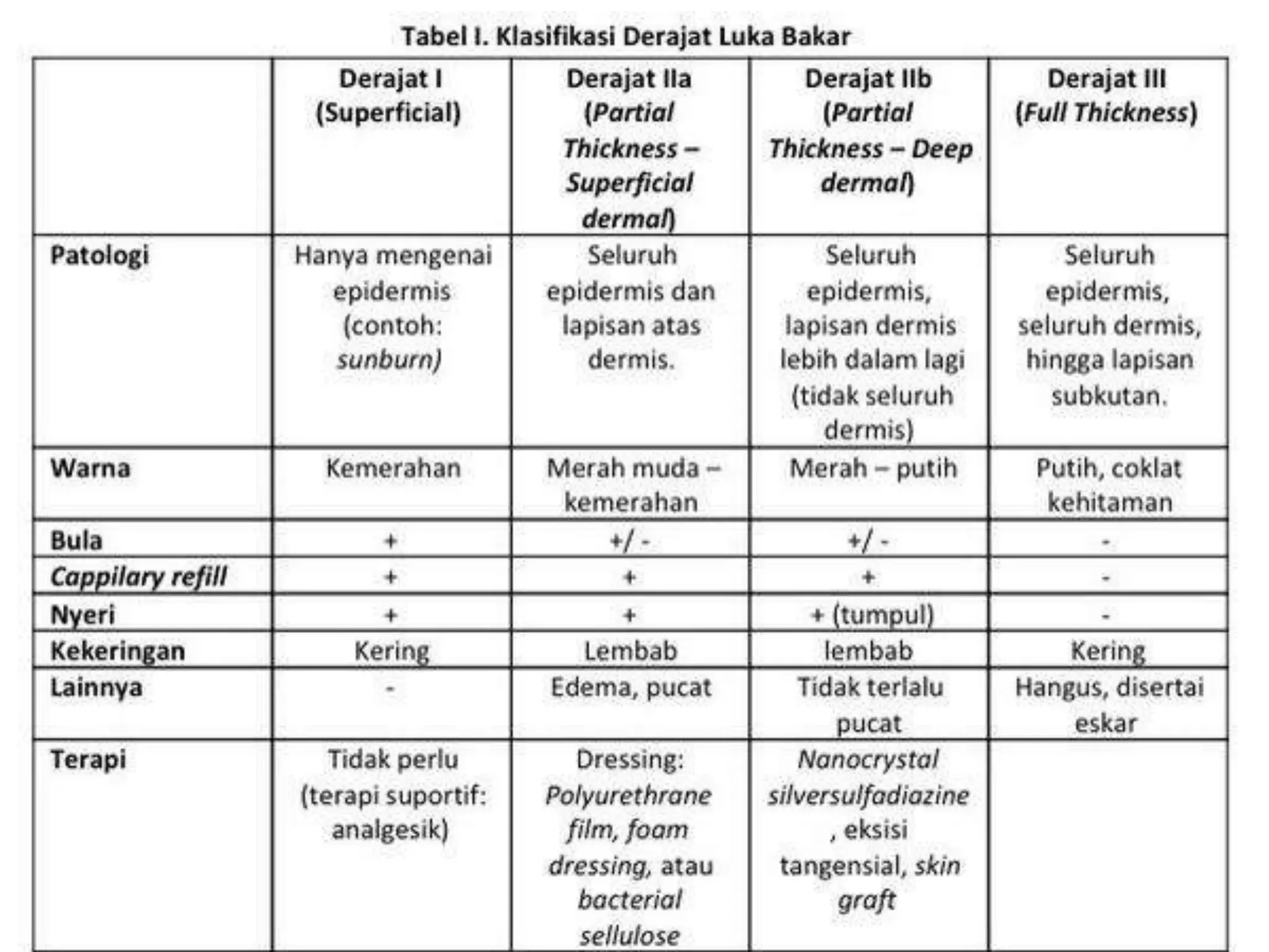 materi presentasi tentang luka bakar.pptx