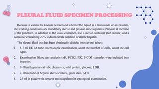 KEL 2 PLEBO ENGLISH PLEURA.pptx