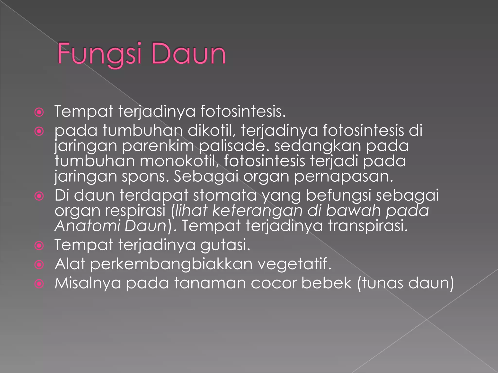 ORGAN PADA TUMBUHAN | PPTX