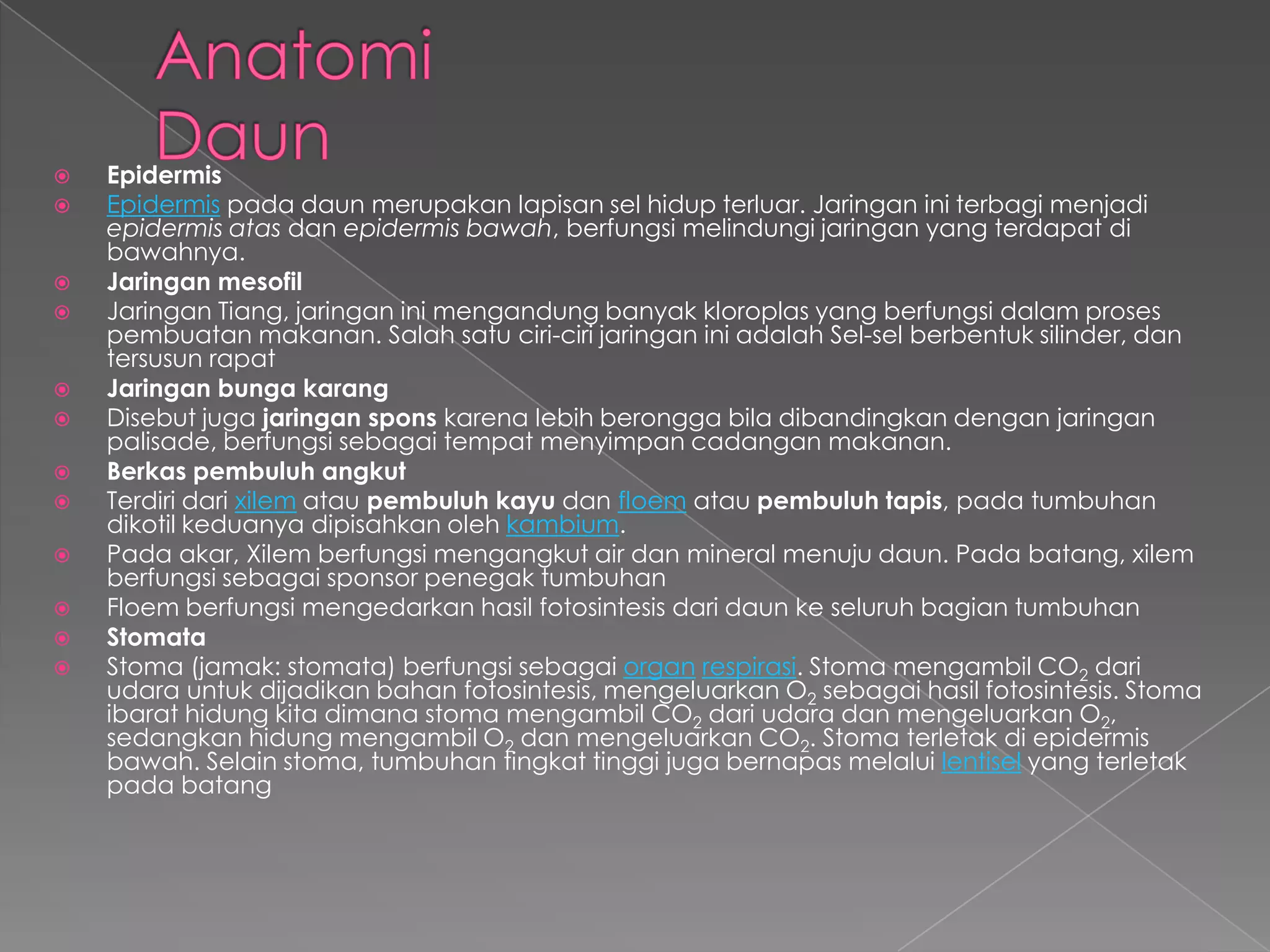 ORGAN PADA TUMBUHAN | PPTX