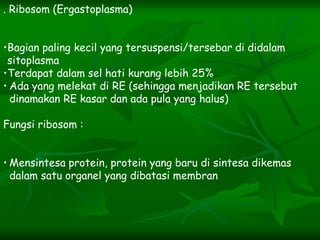 Kel 3 sel tumbuhan | PPTX