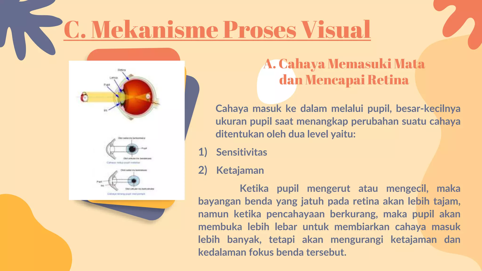 KEL 3 BIOPSIKOLOGI (Sistem Visual).pptx