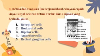 KEL 3 BIOPSIKOLOGI (Sistem Visual).pptx