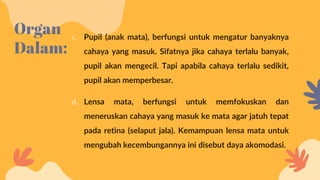 KEL 3 BIOPSIKOLOGI (Sistem Visual).pptx