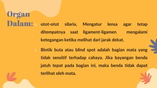 KEL 3 BIOPSIKOLOGI (Sistem Visual).pptx