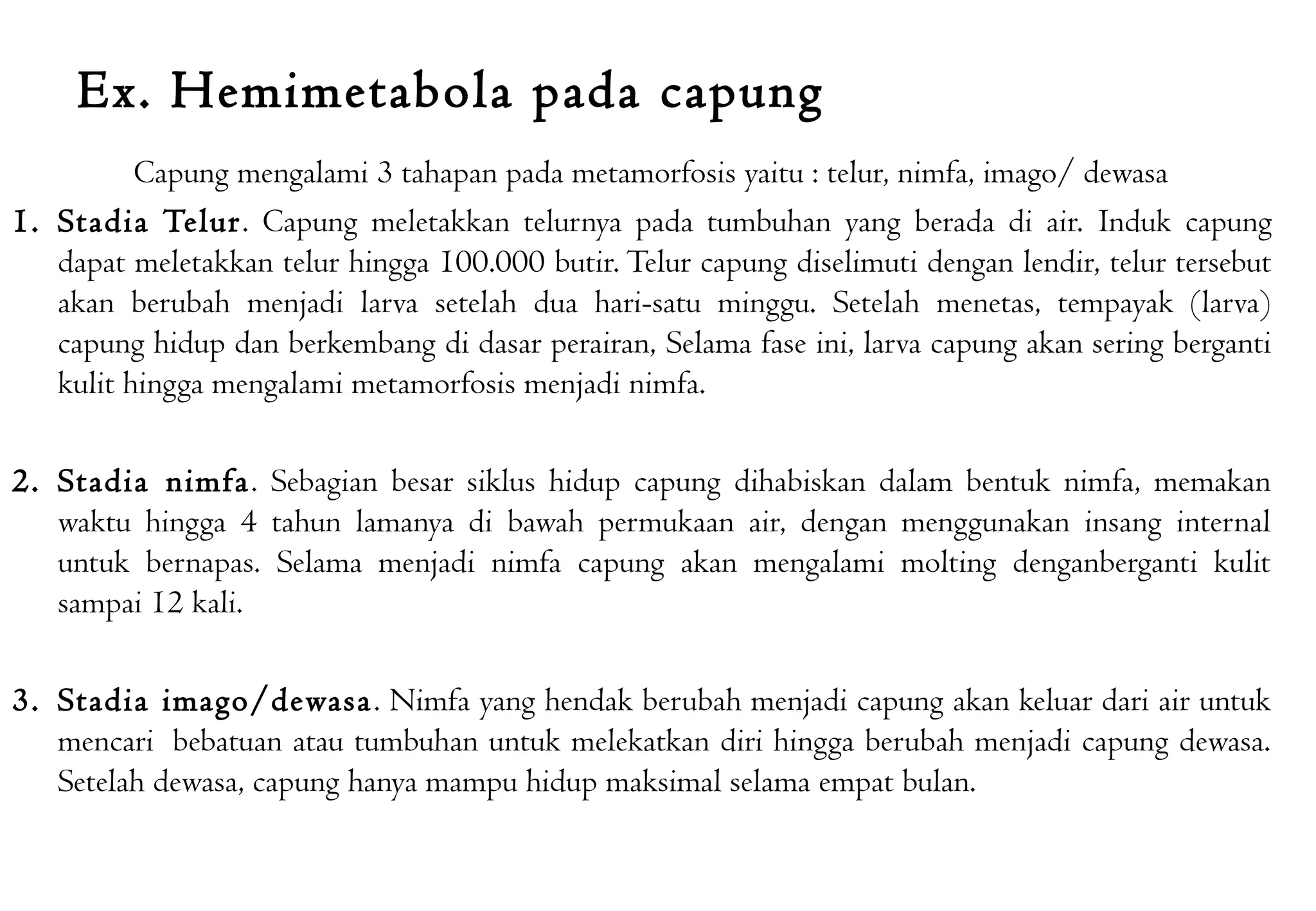 Siklus Hidup dan Sistem Peredaran Darah Serangga | PPT