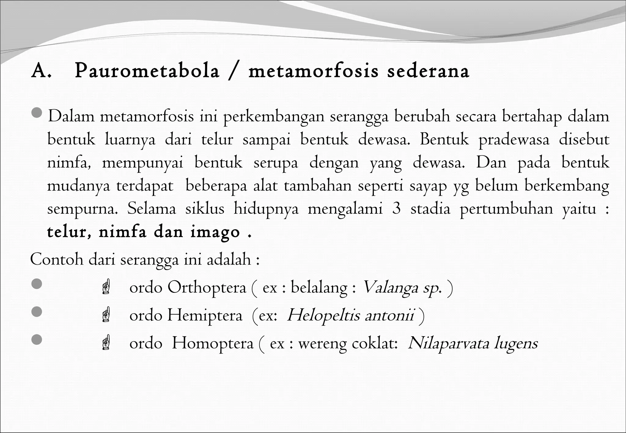 Siklus Hidup dan Sistem Peredaran Darah Serangga | PPT