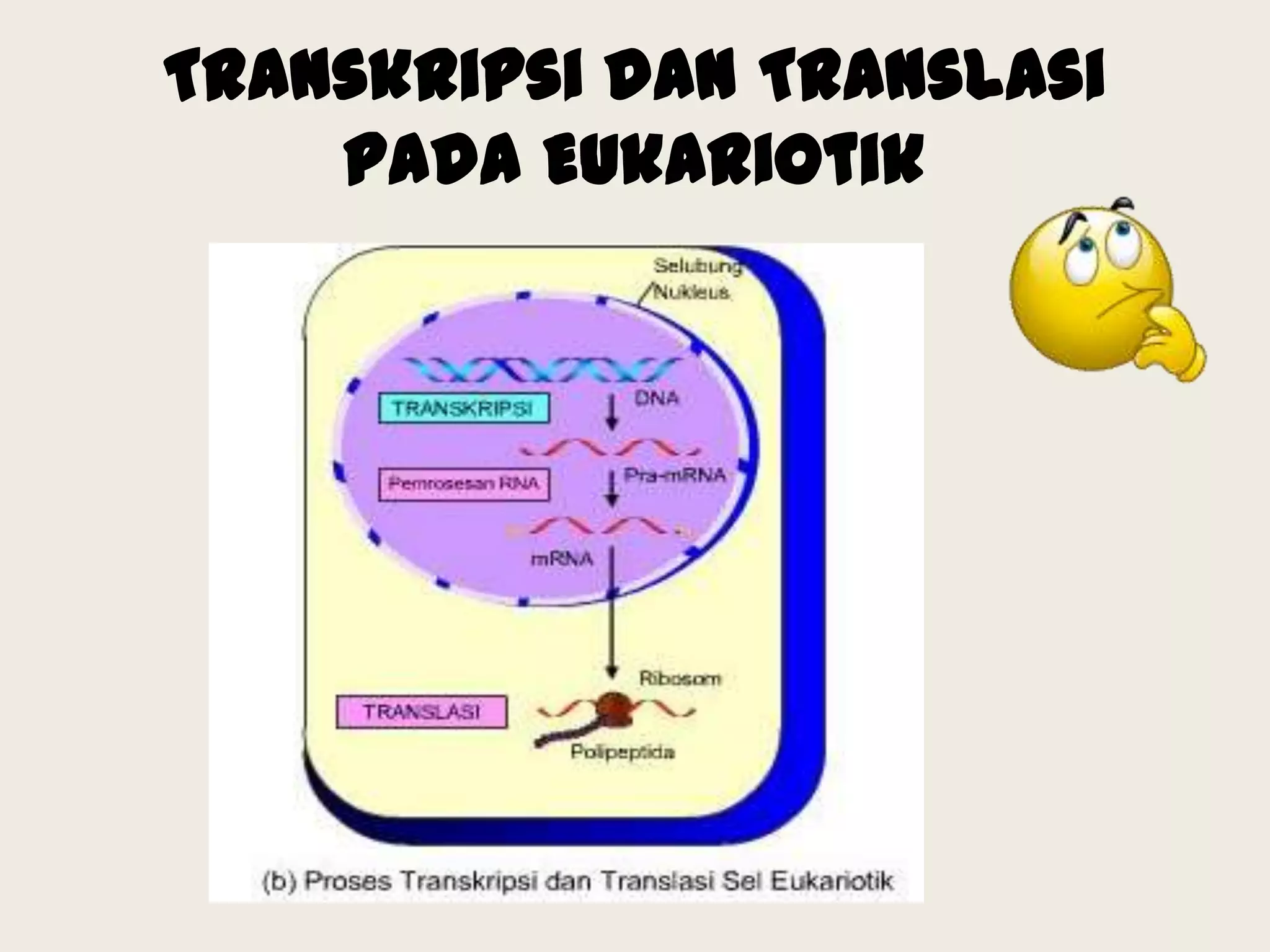 Kel 3 perbedaan transkripsi dan translasi pada prokariot dan eukariot ...