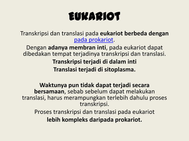 Kel 3 perbedaan transkripsi dan translasi pada prokariot dan eukariot ...