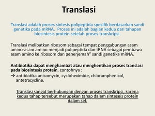 Kel 3 perbedaan transkripsi dan translasi pada prokariot dan eukariot ...