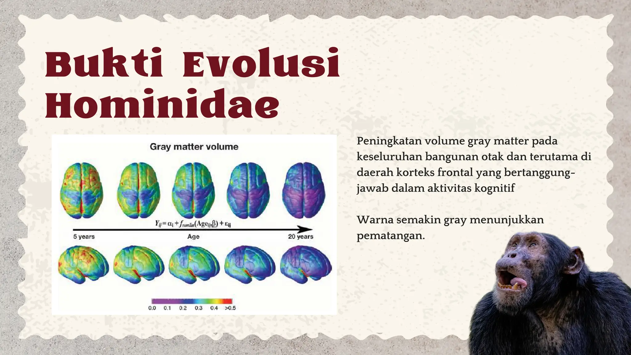 KEL 3_PPT FENOMENA EVOLUSI HOMINIDAE.pdf