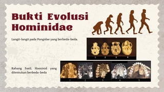 KEL 3_PPT FENOMENA EVOLUSI HOMINIDAE.pdf