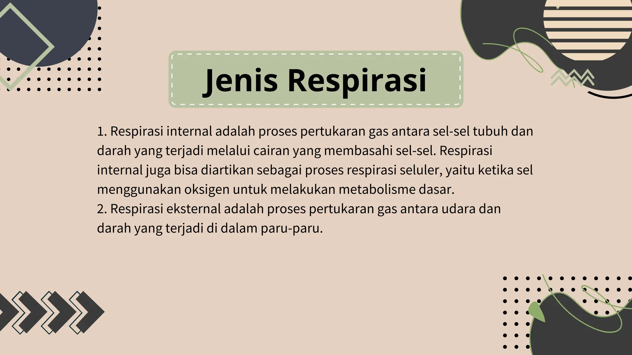 KEL 4 - ANATOMI sistem respirasi s1 kebidanan .pdf