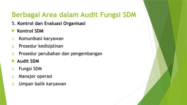 KelompokTugas 4 AUDIT Sumber Daya Manusia.pptx