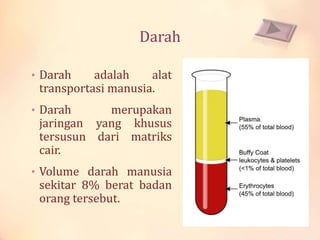 Kel 4 darah | PPT