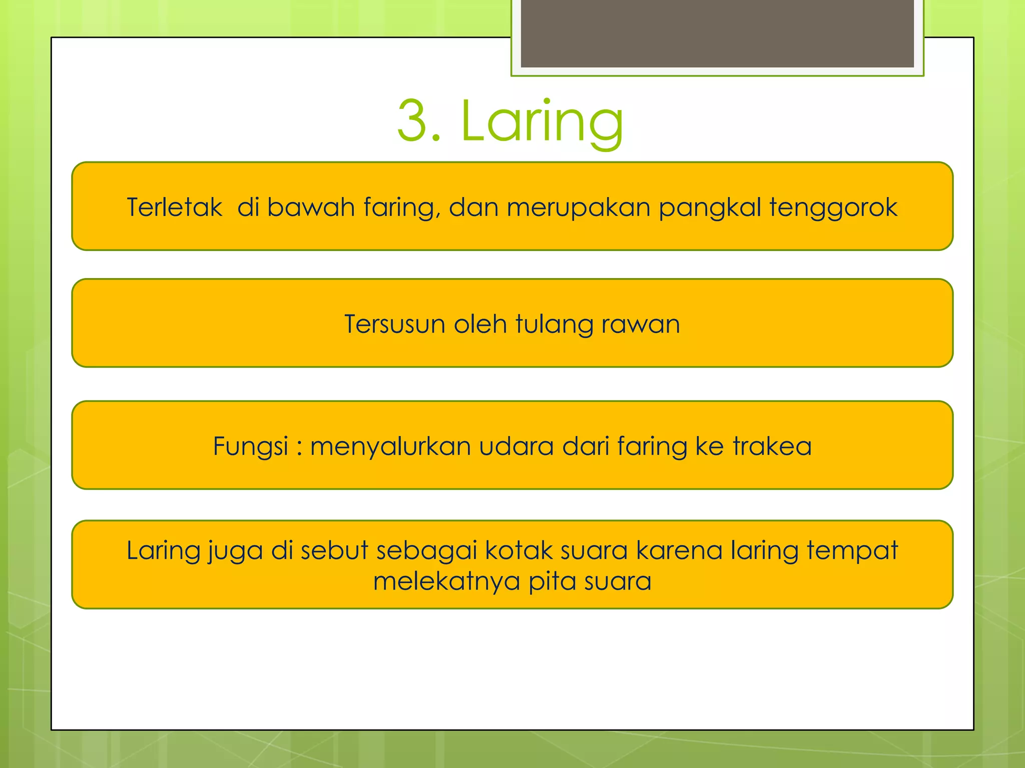 sistem pernapasan | PPTX