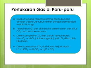sistem pernapasan | PPTX