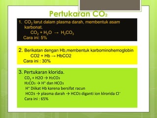 sistem pernapasan | PPTX