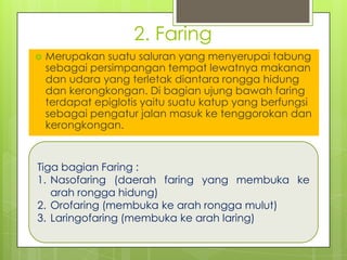 sistem pernapasan | PPTX