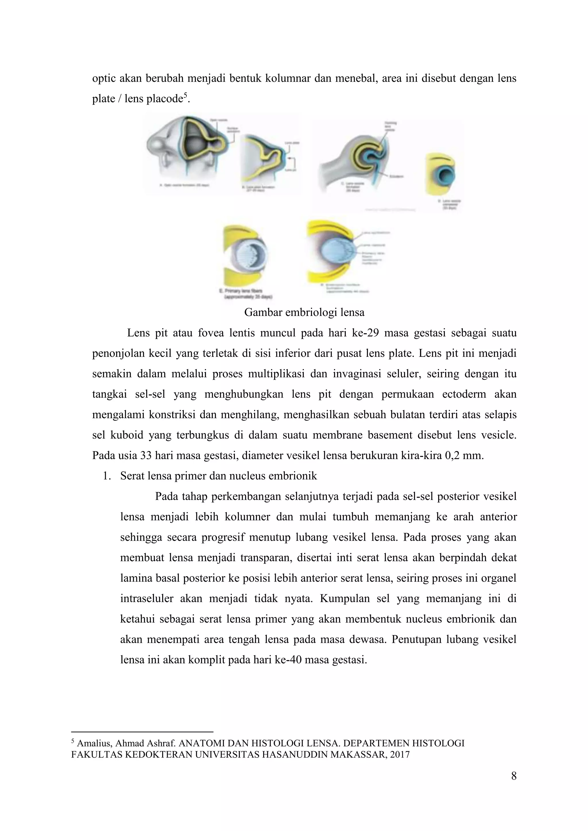 Kel 5 Embriologi Hewan organogenesis.docx