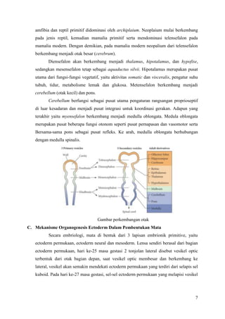Kel 5 Embriologi Hewan organogenesis.docx