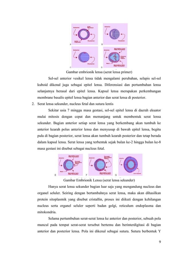 Kel 5 Embriologi Hewan organogenesis.docx