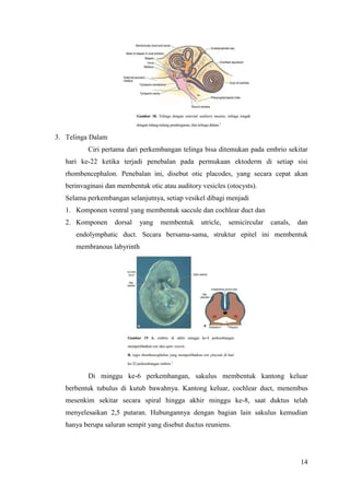 Kel 5 Embriologi Hewan organogenesis.docx