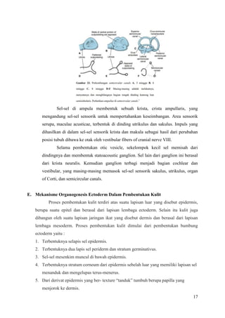 Kel 5 Embriologi Hewan organogenesis.docx