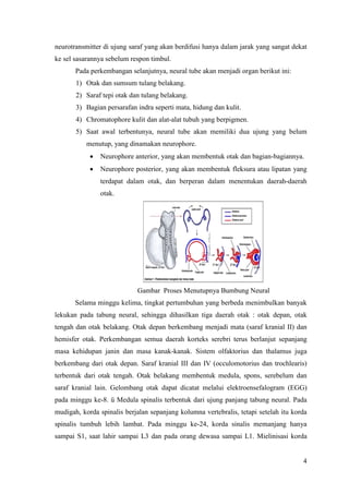 Kel 5 Embriologi Hewan organogenesis.docx