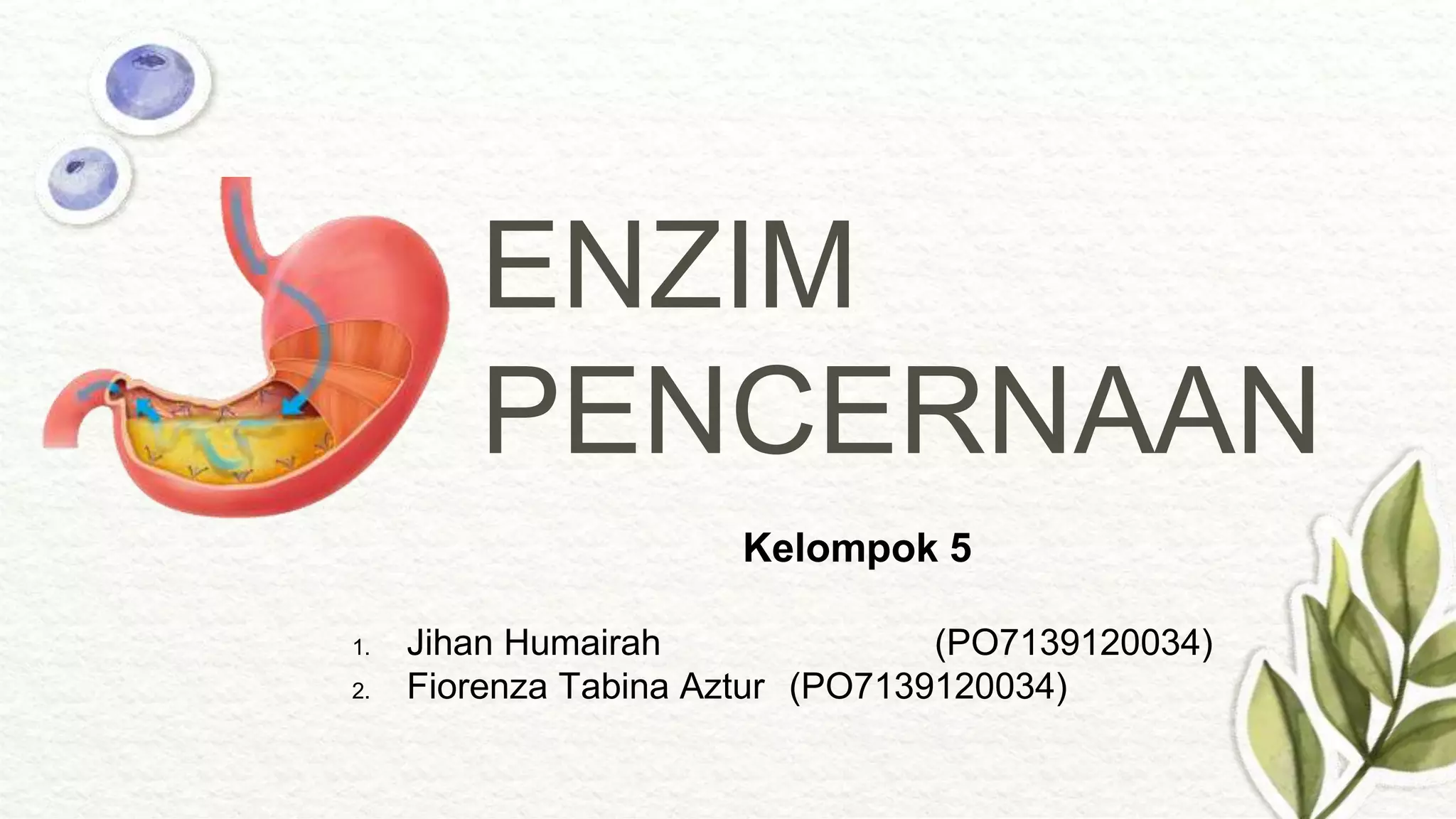 KEL 5 ENZIM PENCERNAAN.pptx