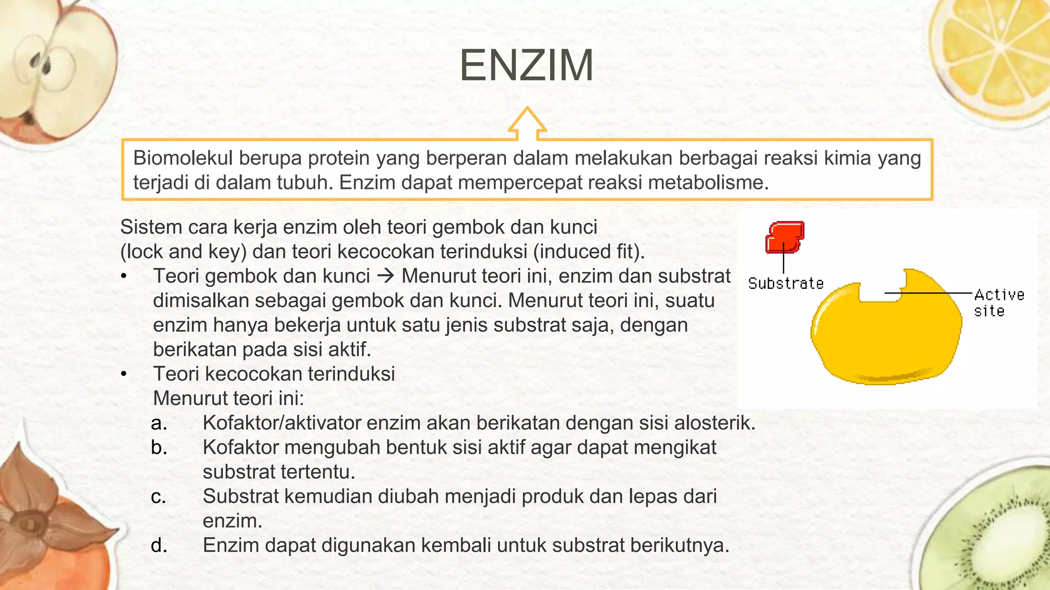 KEL 5 ENZIM PENCERNAAN.pptx