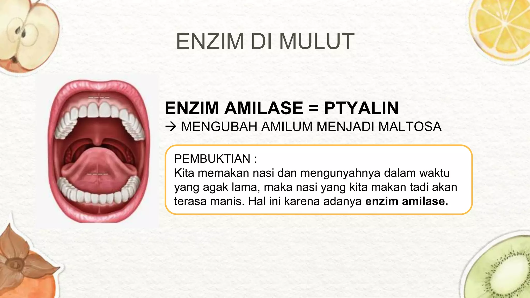 KEL 5 ENZIM PENCERNAAN.pptx