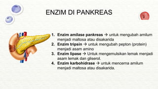 KEL 5 ENZIM PENCERNAAN.pptx