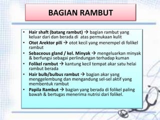 Kel 5 kelas m preparat untuk rambut | PPTX