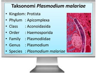 Kel 5 plasmodium malariae | PPTX