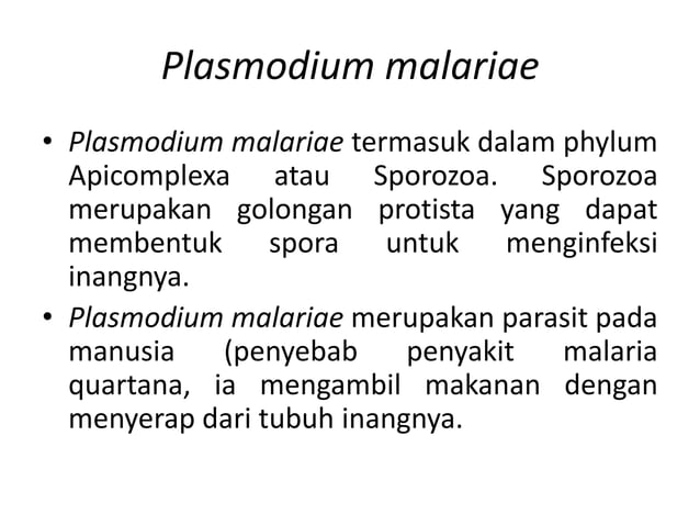 Kel 5 plasmodium malariae | PPTX