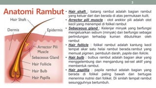 Kel 6 kelas m preparat untuk pewarna rambut | PPTX