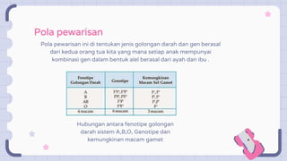 KEL 6 PEMBULUH DARAH.pptx