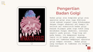 Badan Golgi | PPTX