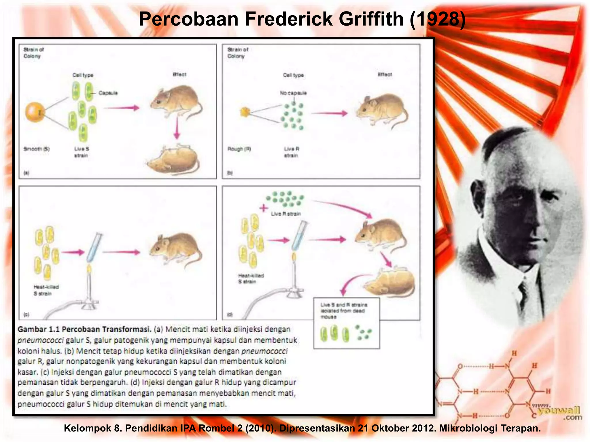 Mekanisme Transfer & Isolasi DNA | PPTX