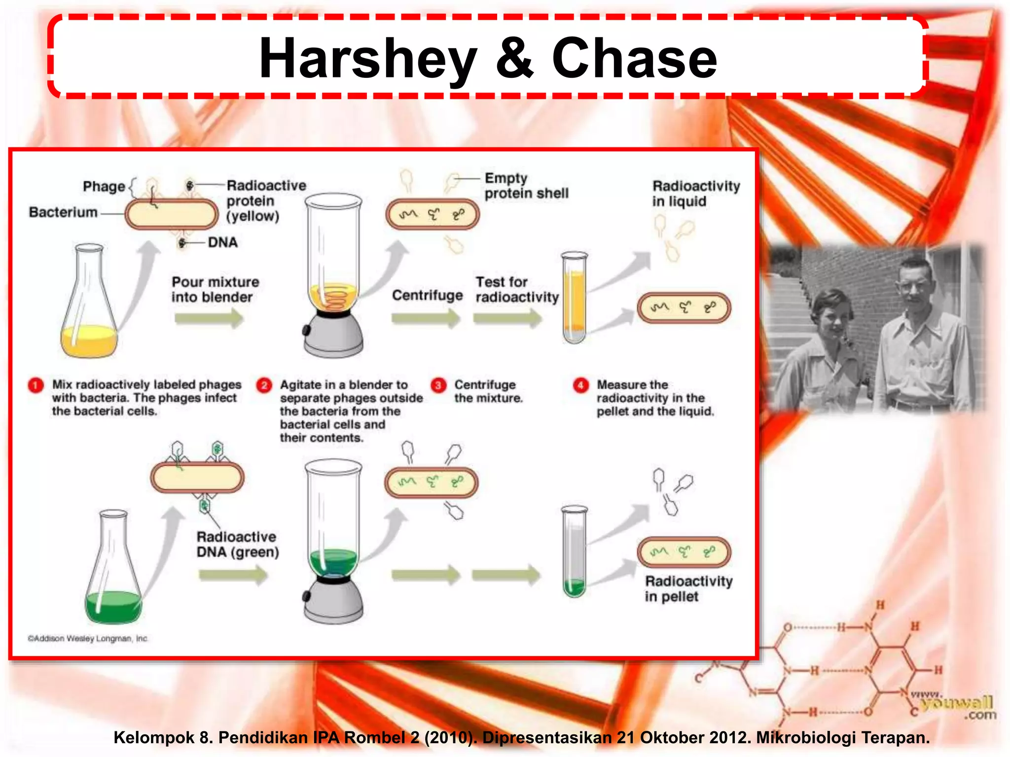 Mekanisme Transfer & Isolasi DNA | PPTX