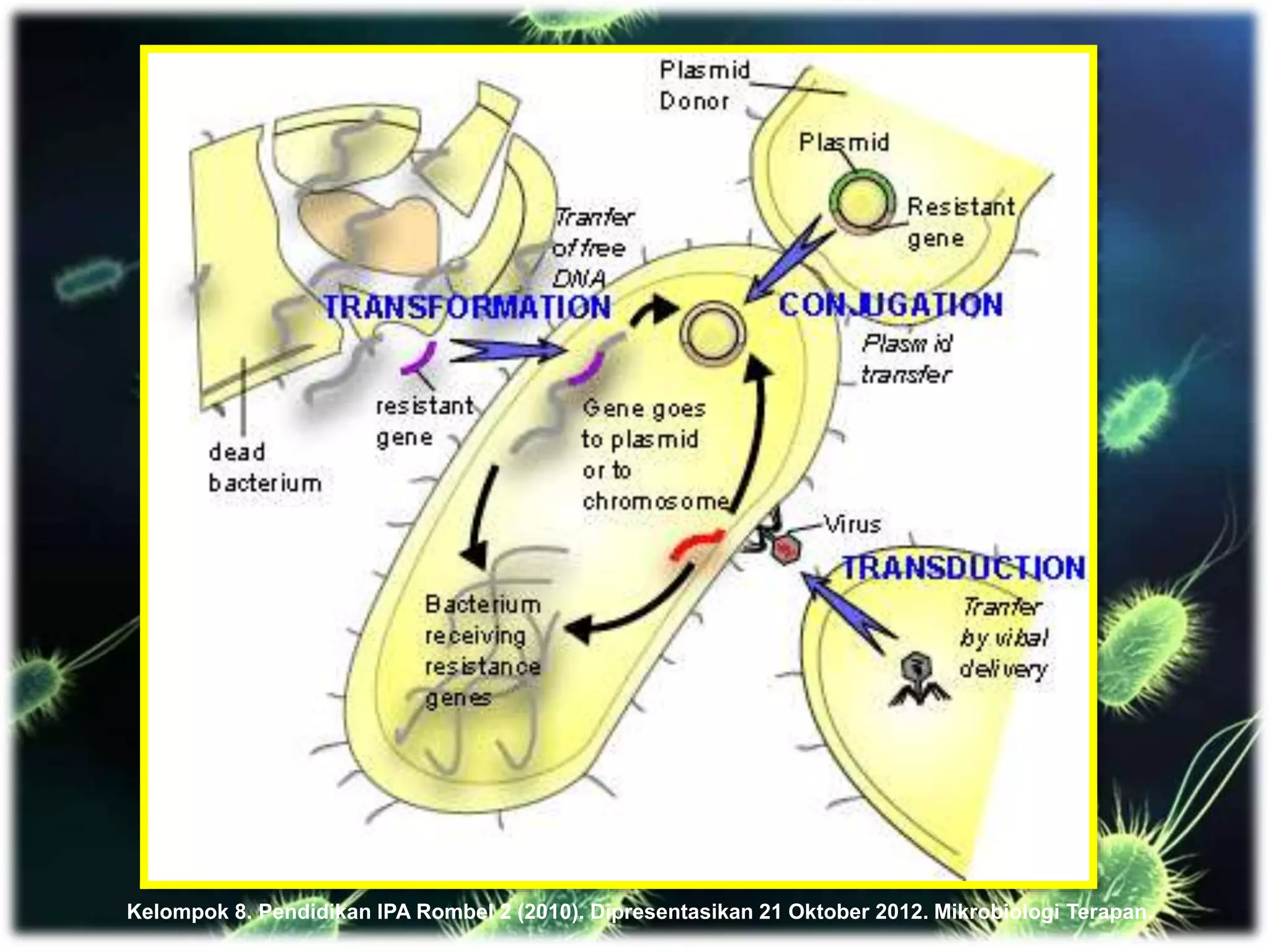 Mekanisme Transfer & Isolasi DNA | PPTX