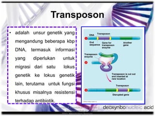 Mekanisme Transfer & Isolasi DNA | PPTX